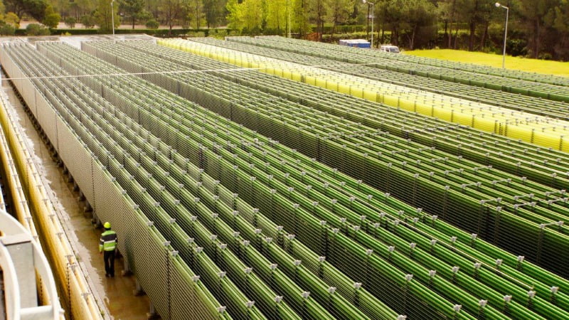 Secil já inaugurou unidade que sequestra CO2 com microalgas - Vida Rural