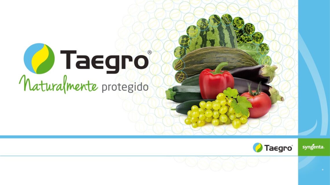 Taegro é o novo biofungicida para vinha e hortícolas da Syngenta