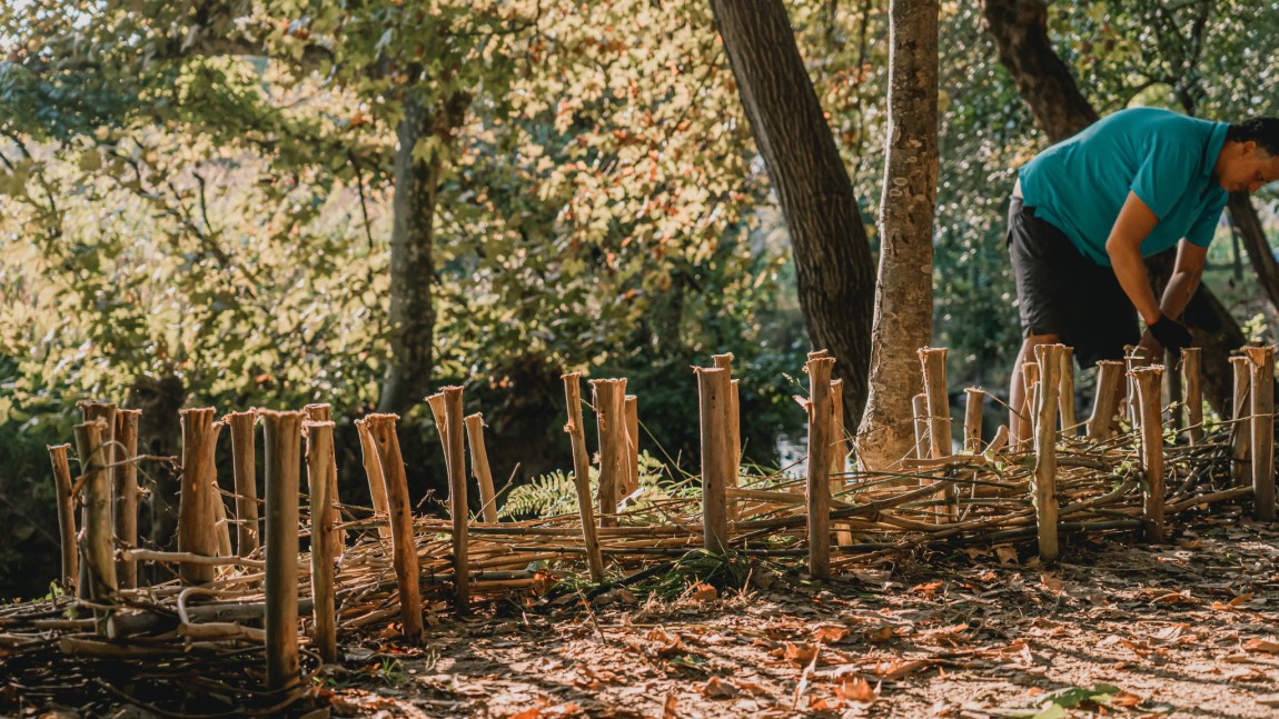 EcoRAgri4Hidro quer utilizar sobrantes agrícolas para proteger linhas ...